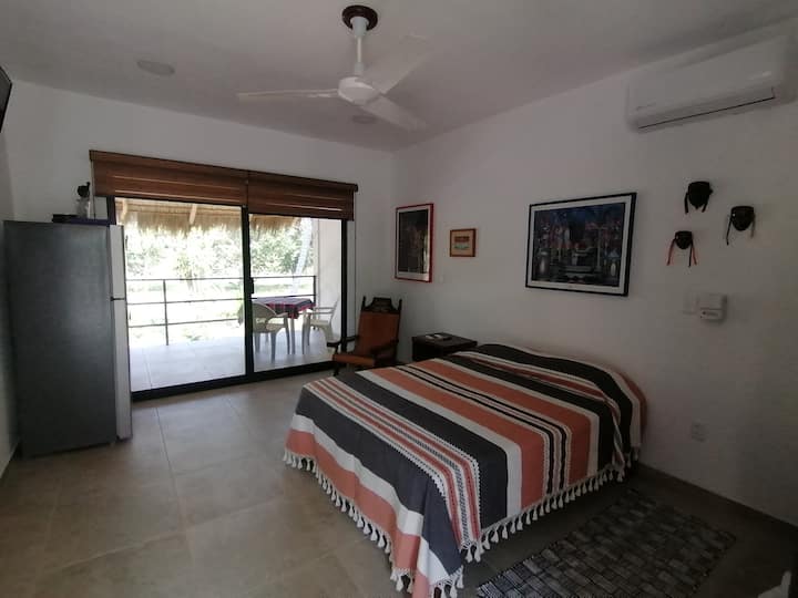 Estudio Numero 4 - Manzanillo