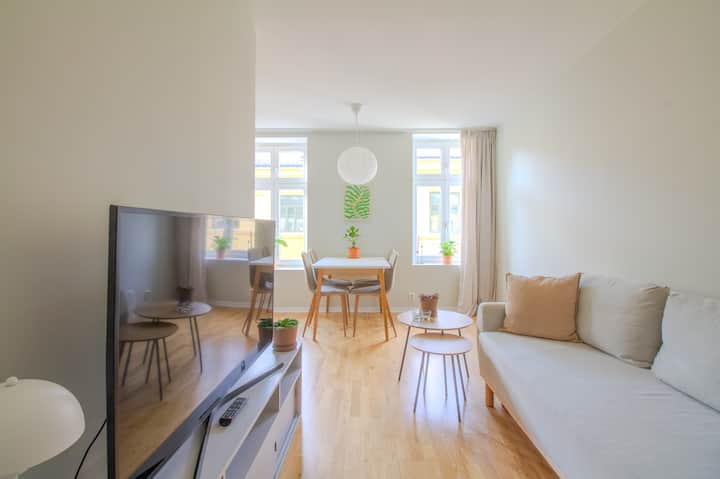Central Apt. 10 Min Walk From Osl Central Station - Oslo