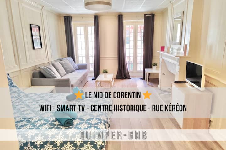 Le Kereon - Appartement De Charme En Plein Centre - Quimper