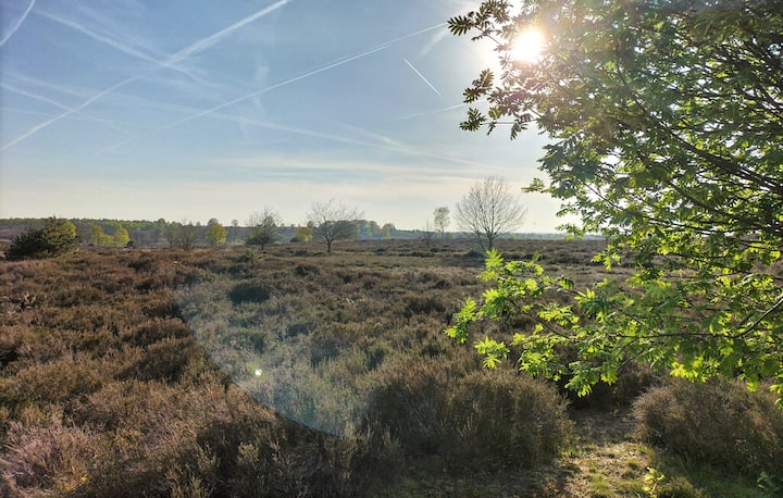 Casa Sallandia Met Outdoor Wellness! - Niederlande