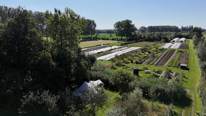 Glamping Ervaring Op Plukboerderij - Lokeren
