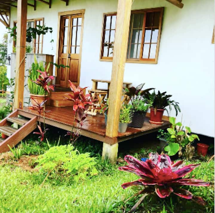Casa Viriya- Yoga, Bed&breakfast - Monteverde