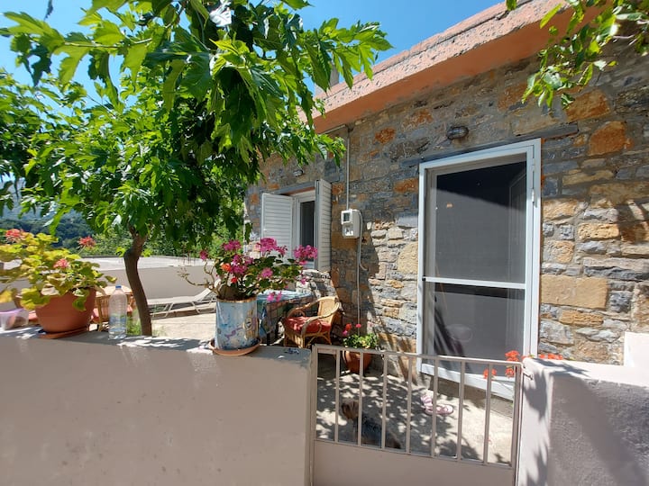 Villa Maria|garden|1bdrm|mountain Home|40minbeach - Kaminaki