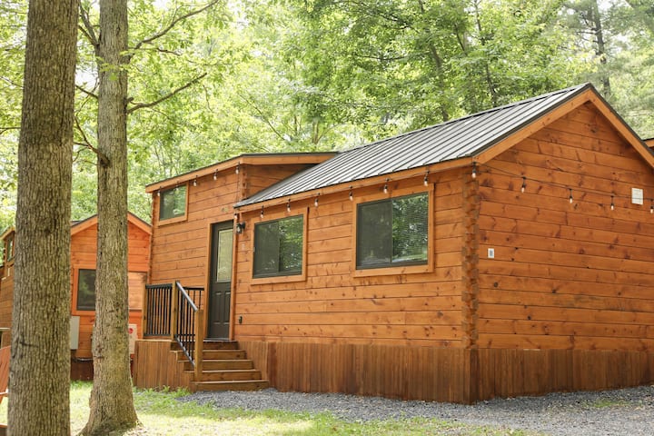 Tiny Home | 2 Bedroom With Loft - Bald Eagle State Park, Howard
