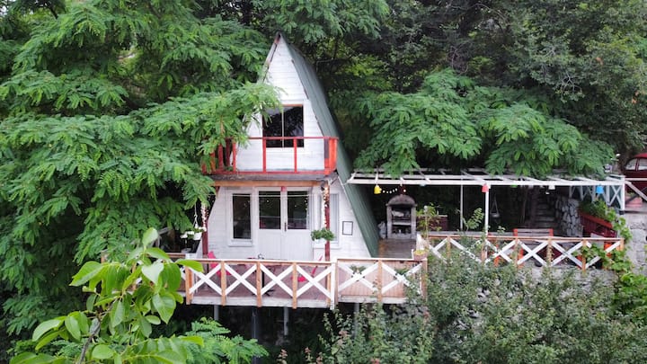 Trabzon Cabin Vacation Rentals - Türkiye | Airbnb