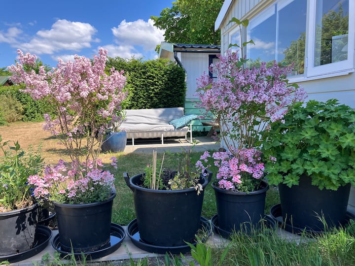 Ons Huisie By Die See - Groet