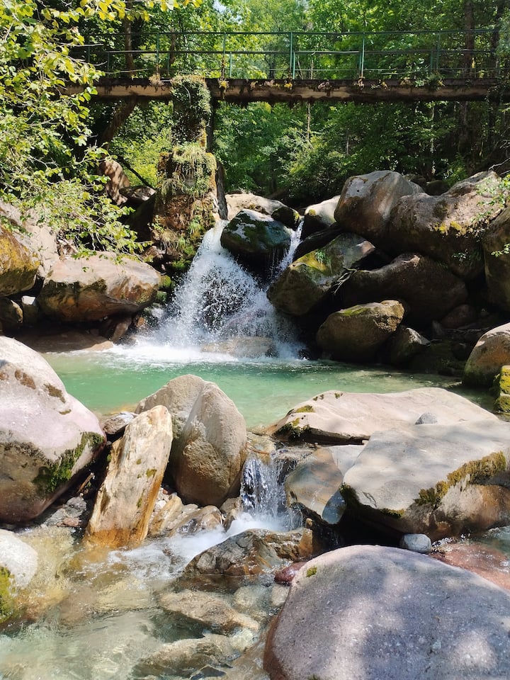 Tenda Immersa Nel Bosco/torrente - Piazzatorre