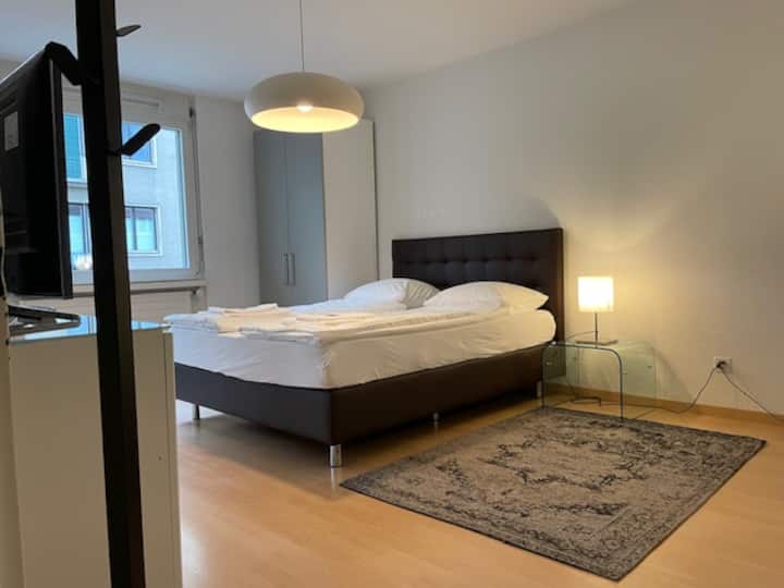 Terrific Studio In The City Centre (Art 2) - Zürich