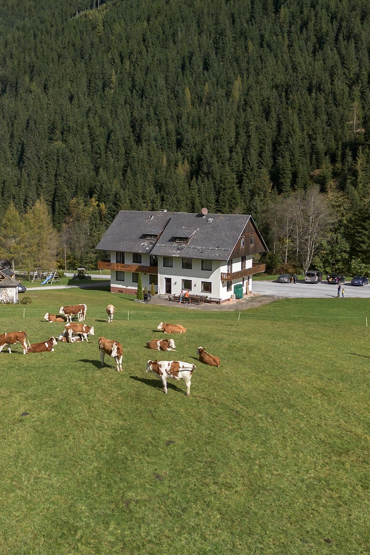 Selbstversorgerhaus Bergheimat - Austria