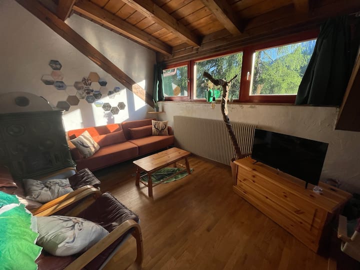 Splendida Carezza - Pozza di Fassa