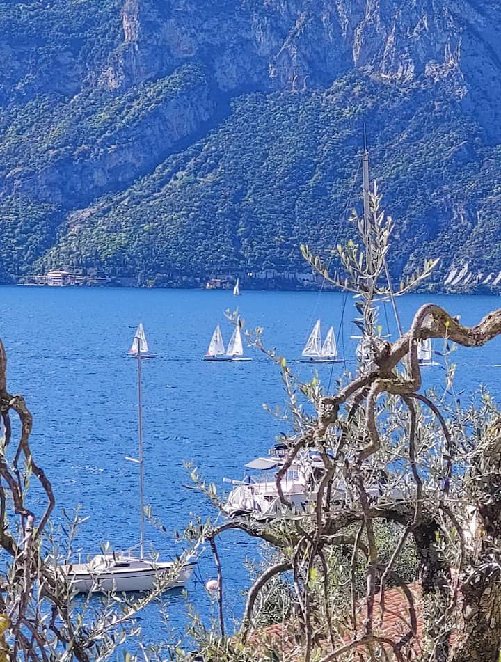 Marigarda Apartment Fronte Lago@ - Malcesine