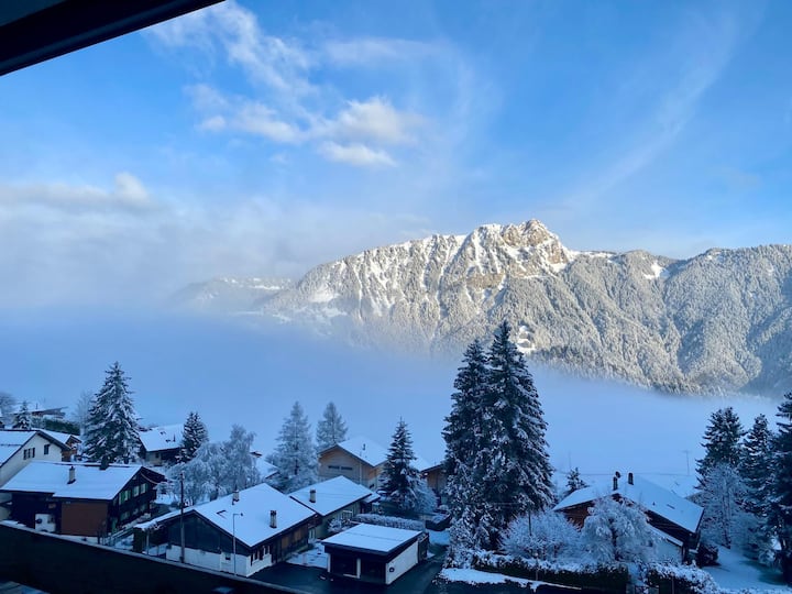 Roc D - Leysin