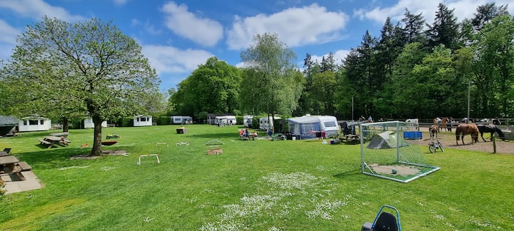Campingplaats Knollegruun - Assen