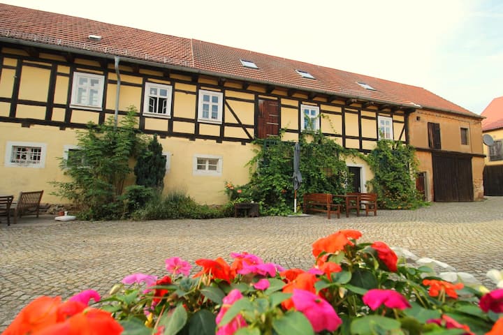 Zu Gast Bei Den Zaungästen - Moritzburg