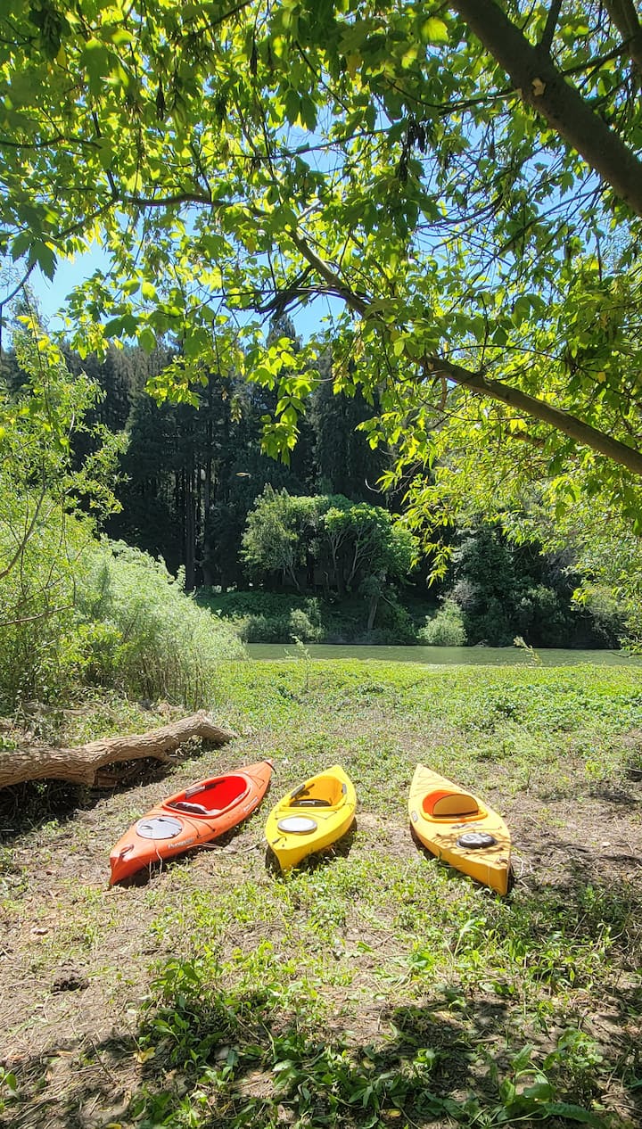 Zen By The River-3 Bedrm 2 Bth Hot Tub Writers - Monte Río, CA