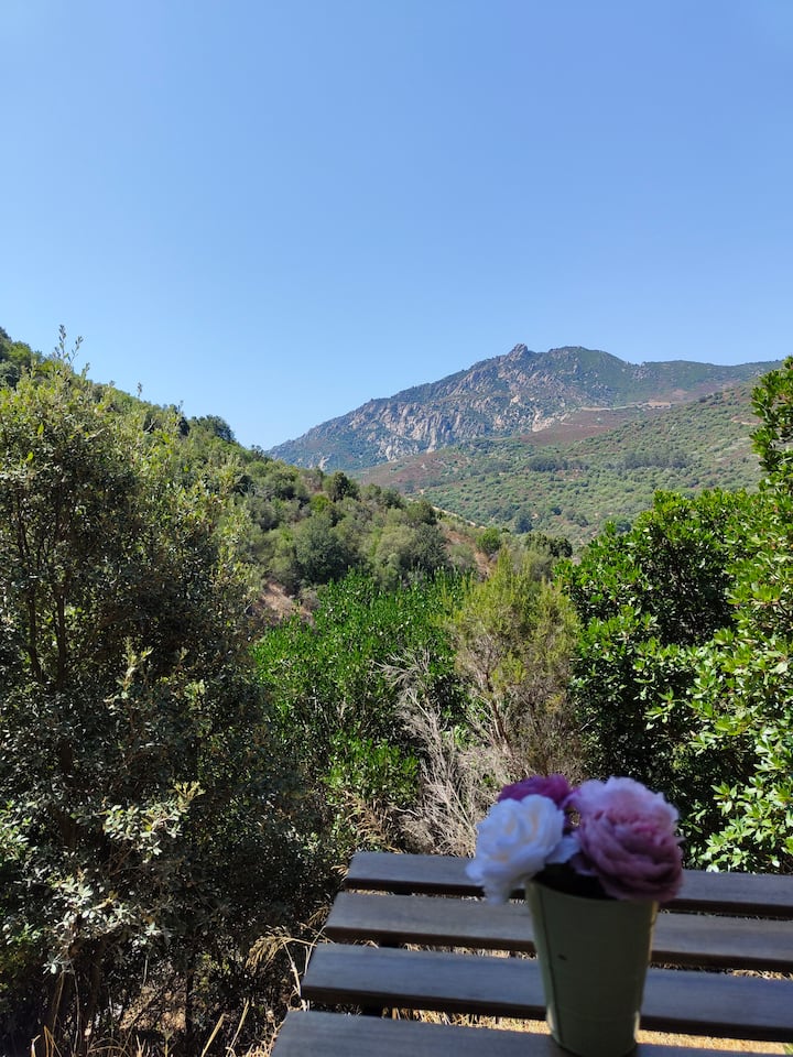 Un éTé Sur L’île De Beauté, Entre Plage Et Nature - Korsika