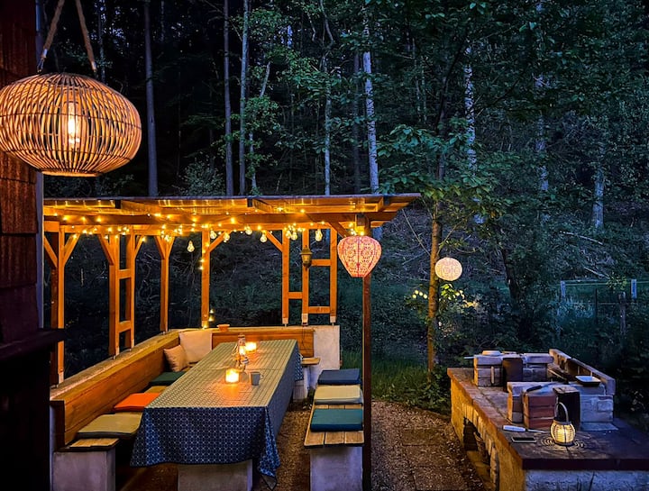 Immersion En Forêt - Vosges Du Nord- 1h Strasbourg - Étang de Hanau