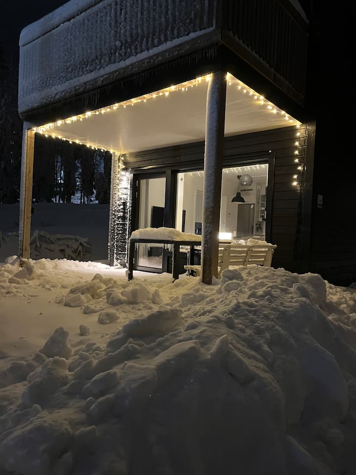 Ski In/ski Out I Kungsberget-43d - Sweden