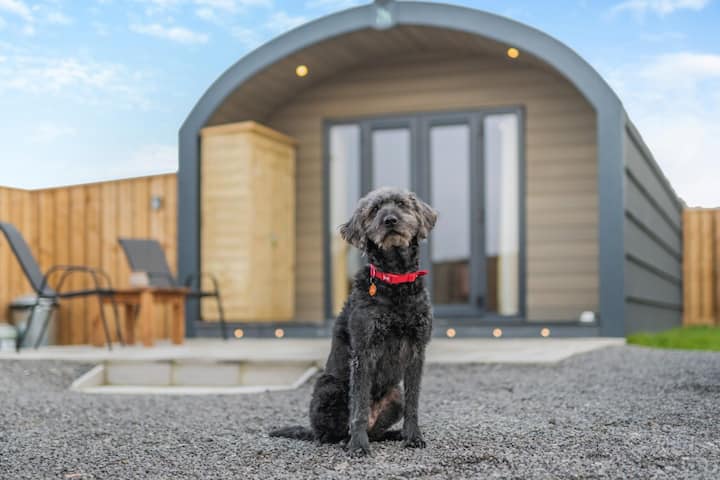 Super Dog Friendly Glamping Pods (Woody) - United Kingdom