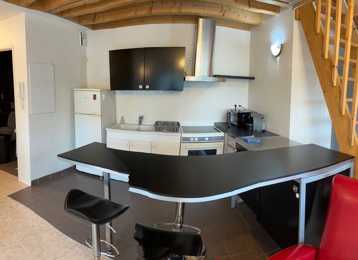 Micropolis Besançon 3 Chambre Appartement Le Bijou - Besançon