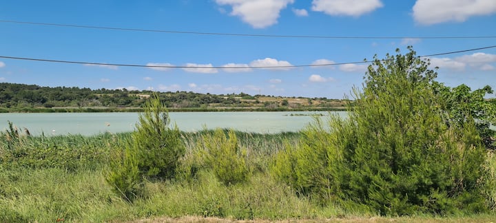 Gîte Bambou - Réduction Au Mois Et à La Semaine - Istres