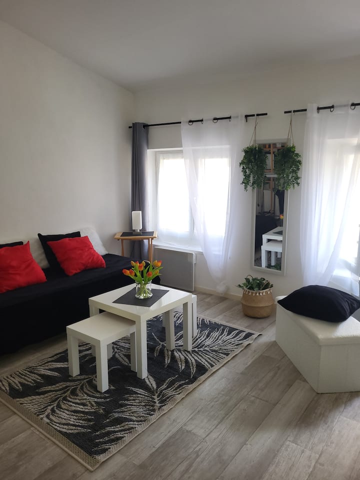 Duplex Cosy Très Bien Placé - Carcassonne
