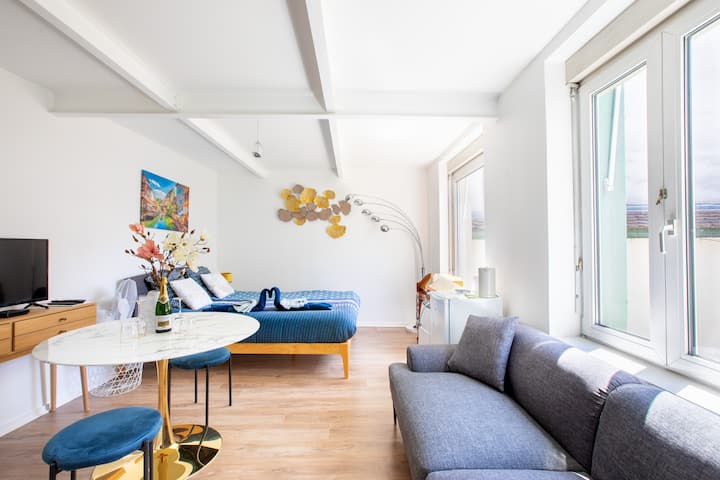 Centre Historique Deluxe Studio Avec Salon - Mulhouse