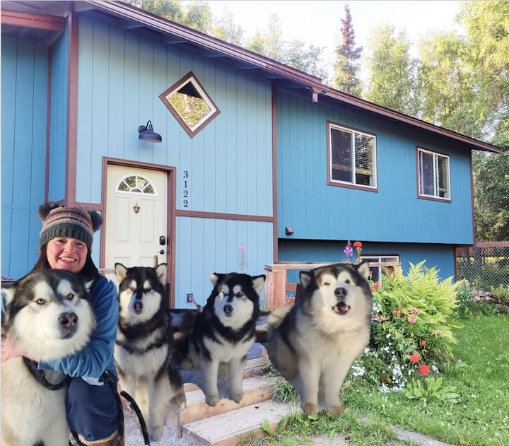 Malamute Manner - Wasilla