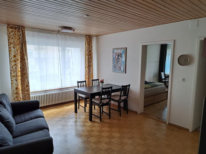 Spacious City Flat With Parking - Zürich