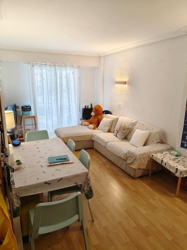 Tin Tin's Home+wifi - Basque Country