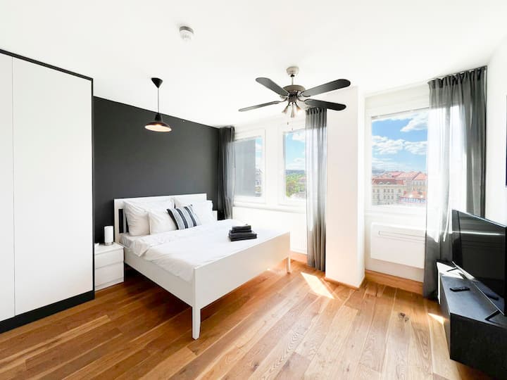 Apartment 9303  Roof Terrace Free Parking - Praag