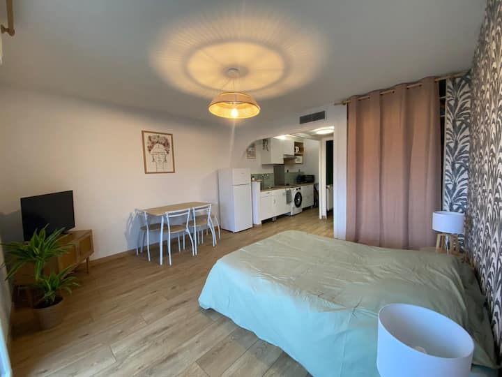 Appartement Aix-les-bains - Lac du Bourget