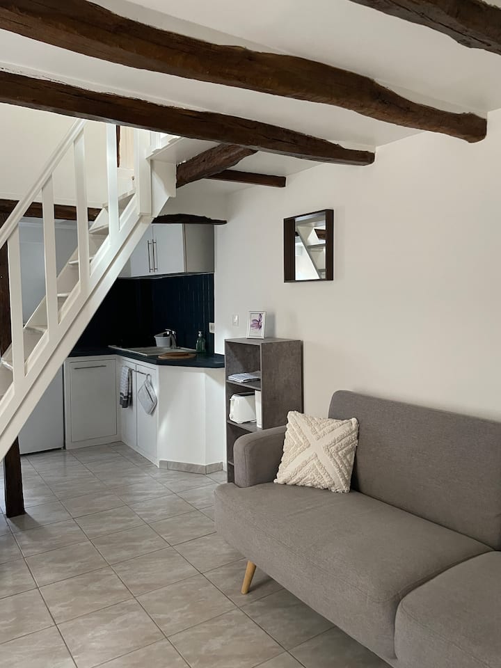 Cosy Cat 
Ap N° 4 (1 H20 De Paris) - Joigny