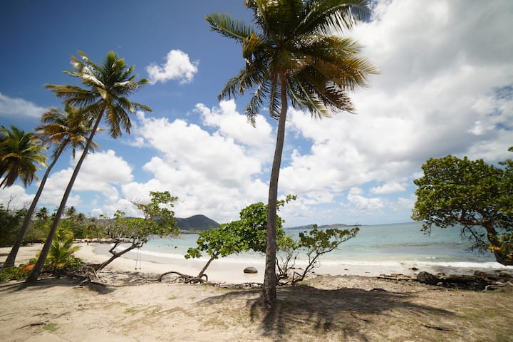 Félix T2 Accès Plage à Ste Luce - Martinique