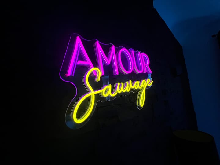 Amour Sauvage Love Room, Historic Center - Avignon