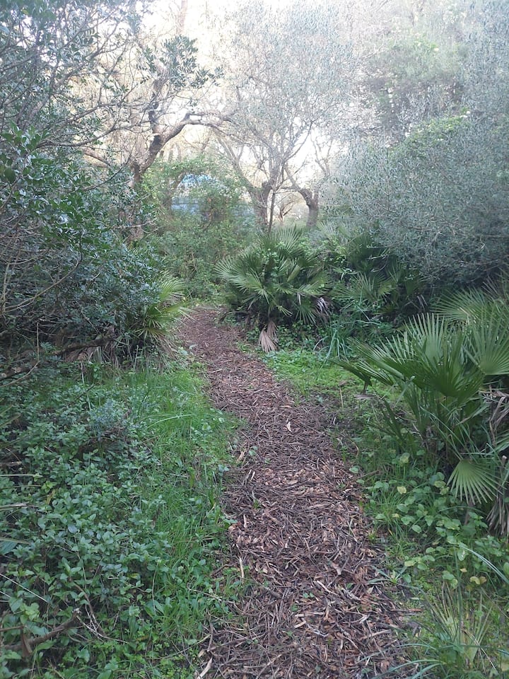Camping Entreraíces - Barbate