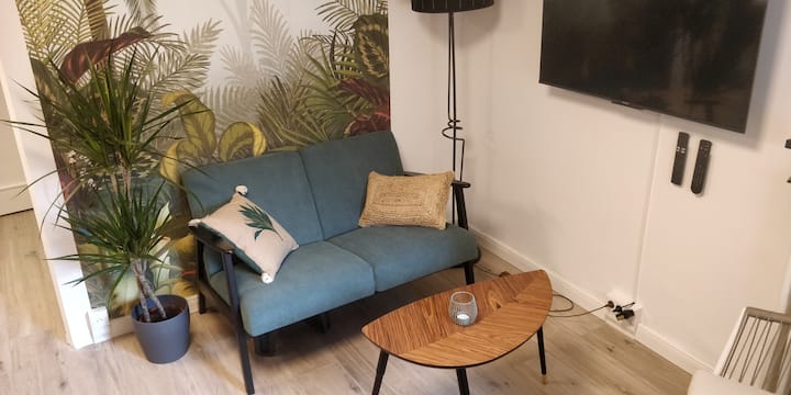 Appartement Cosy Bourgneuf - Carnot - Saint-Étienne