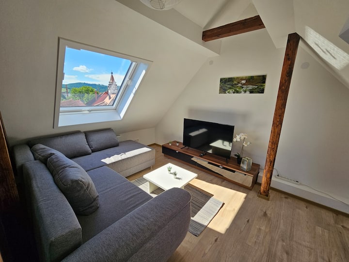Gemütliche & Zentral Gelegene Wohnung - Offenburg