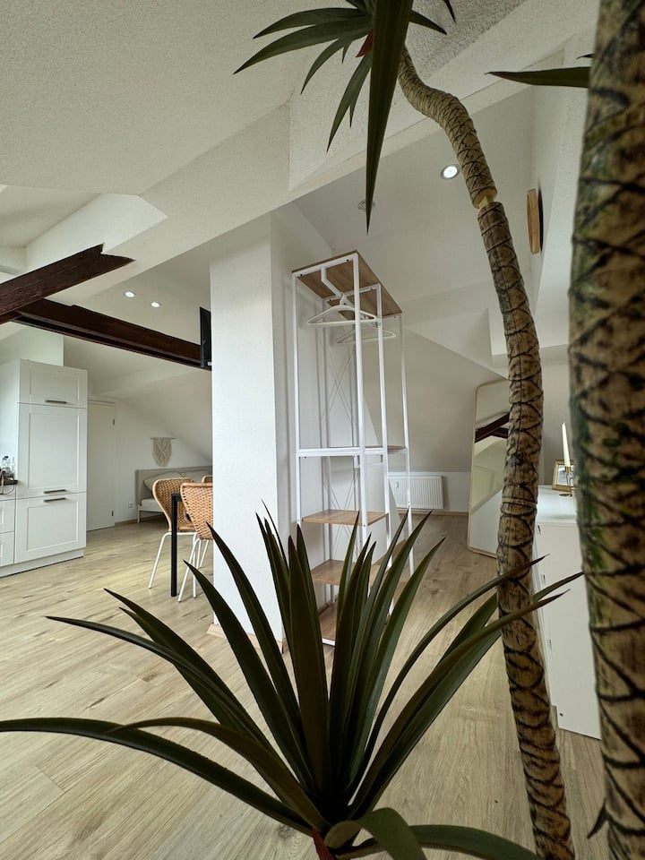 Sky Apartment - Friedrichshafen