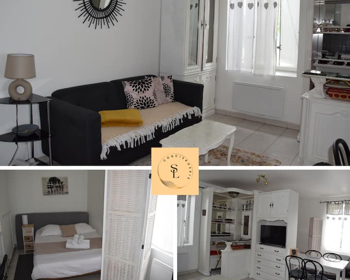 Studio éVasion Campagnarde Eurexpo/groupamastadium - Saint-Priest