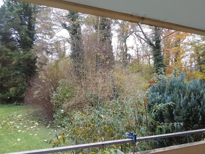 Zimmer Mit Balkon-naturoase - Freiburg im Breisgau