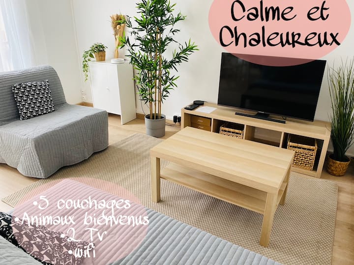 Chez Bobo: Appartement 52 M2 Cosy Et Ensoleillé - Puy-de-Dôme