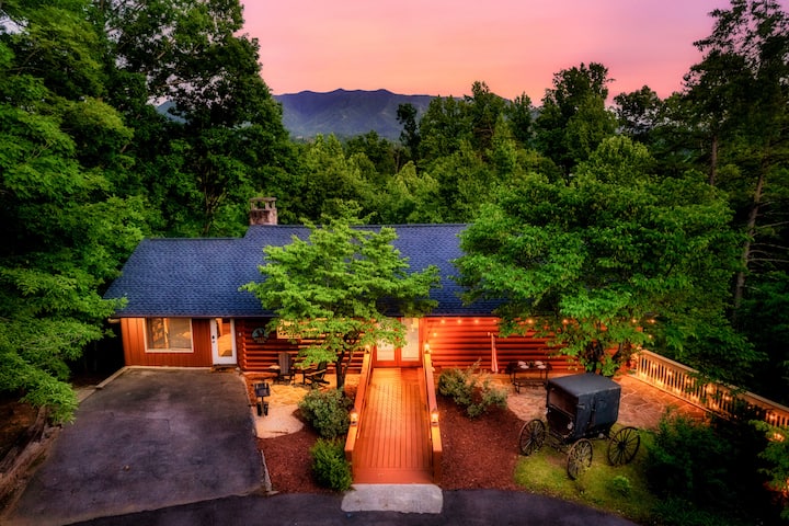 Logcabin/ada/3kingsuites/hottub/prvt/theatr/arcade - Gatlinburg, TN