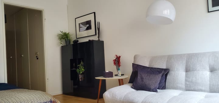 Studio Hyper Centre /Petite France - Strasbourg