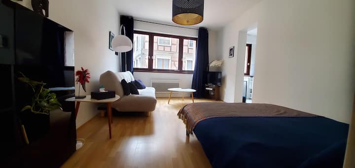 Studio Hyper Centre /Petite France - Strasbourg