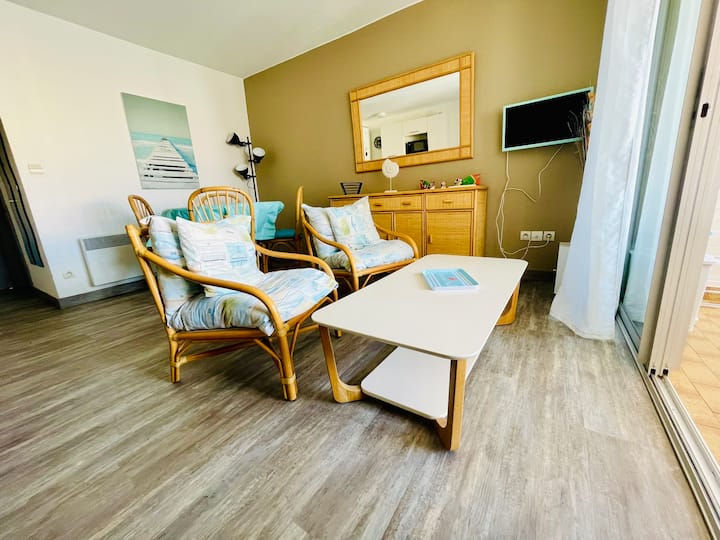 Les Iles : T2 Vue Port/parking Privé/ile Pêcheurs - Agde