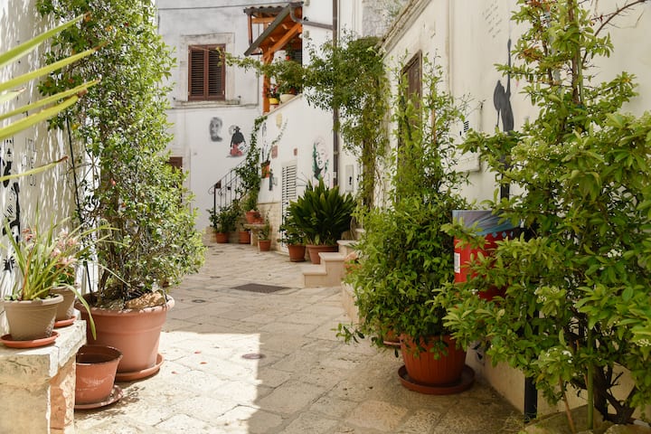 Casanoja Nel Centro Storico - Noci