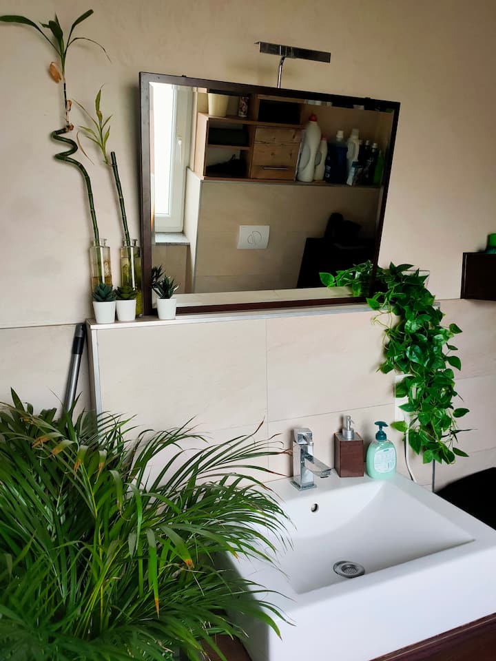 2 Zimmer Im Haus Am See In Lpz - Leipzig