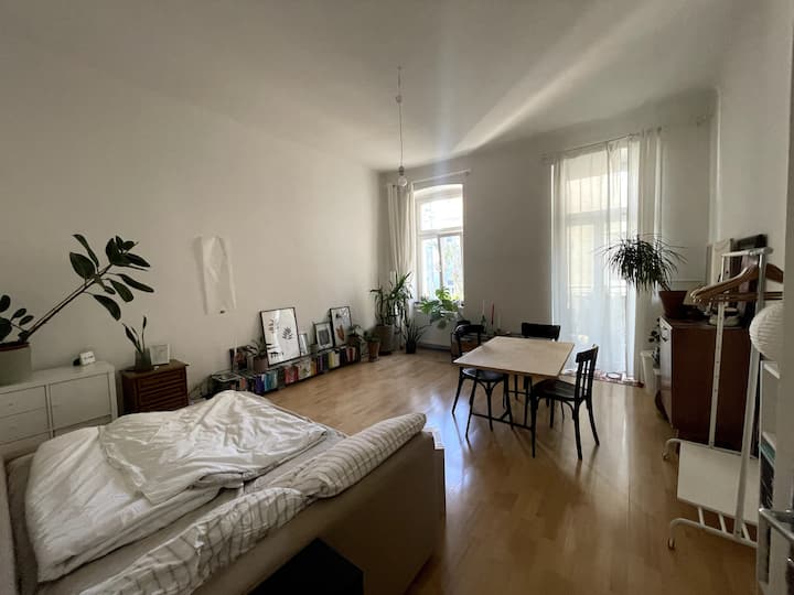 Gemütliches Zimmer Mit Balkon - Wien