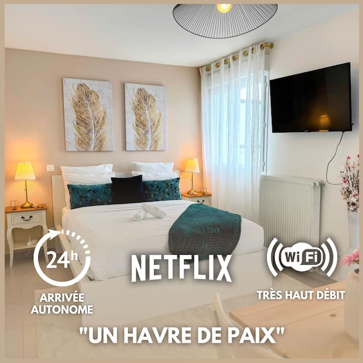 Studio Hôtel - Lit King Size - Parking - Wifi - Villemomble